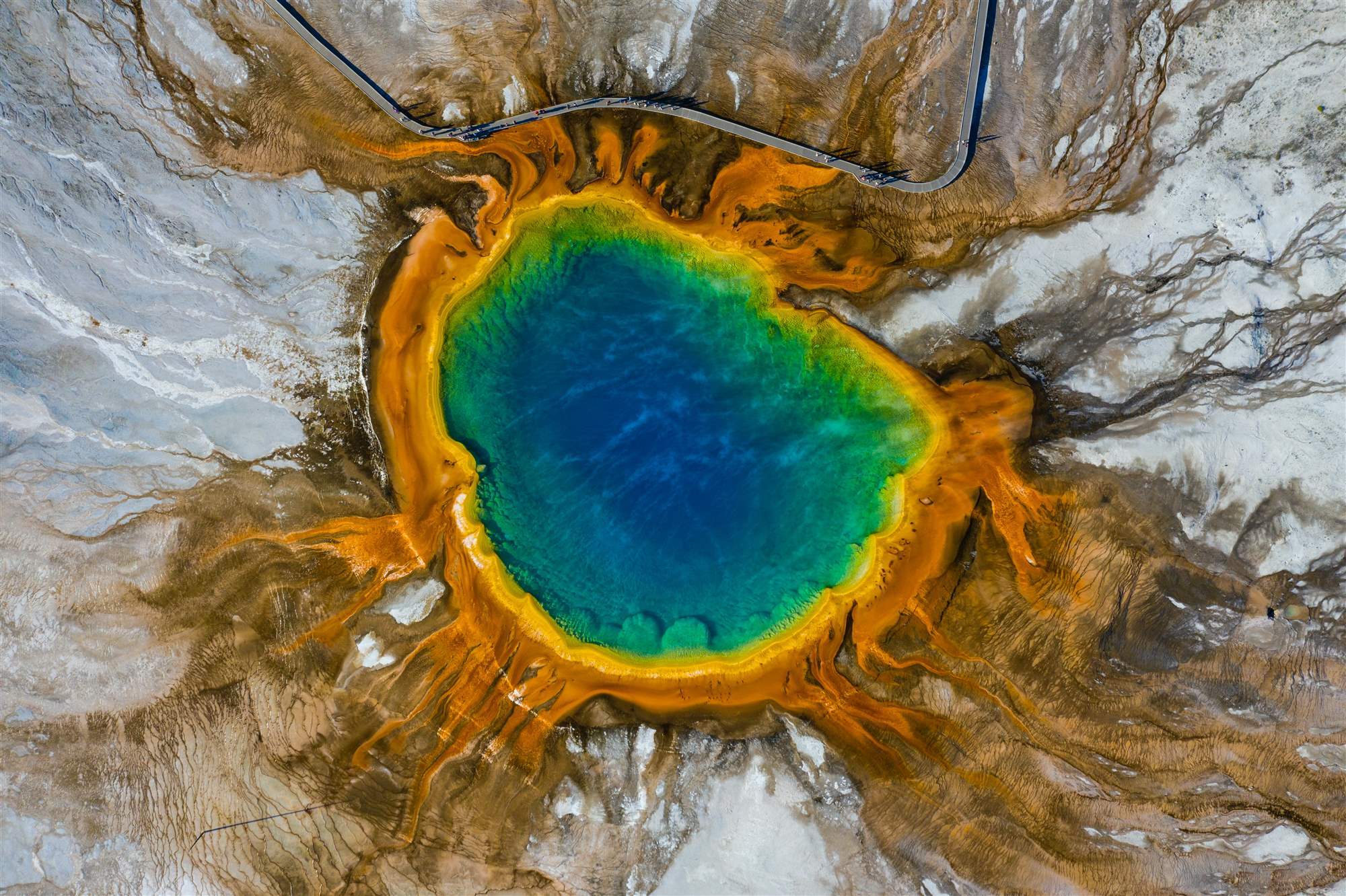 Yellowstone, 150 años del primer parque nacional del mundo - EDF Divi Home